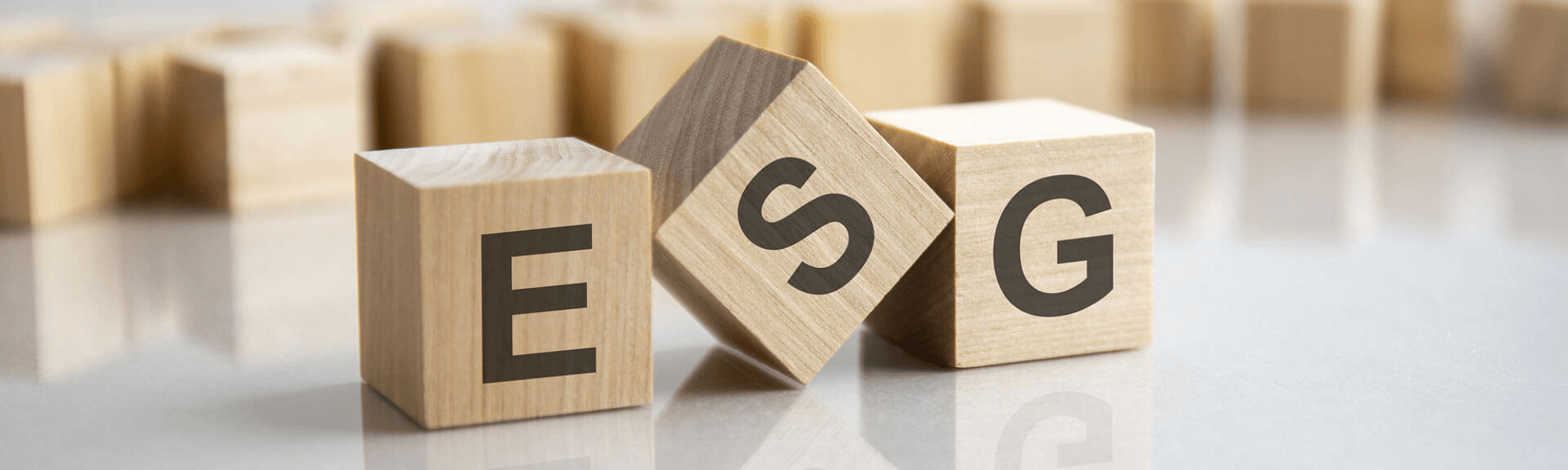 The Bachelor Program in Smart Sustainable Development and Management